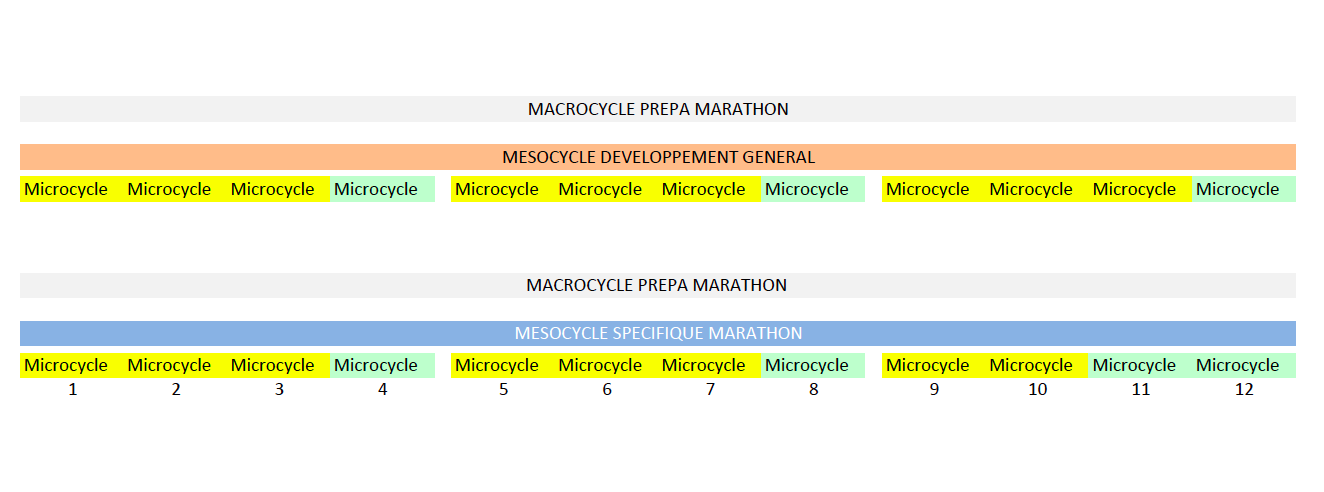L'entraînement marathon : la programmation par cycles - Blog running ...
